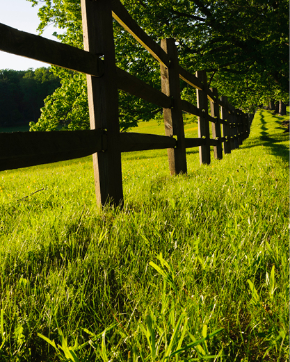 Spatial NI - Gallery